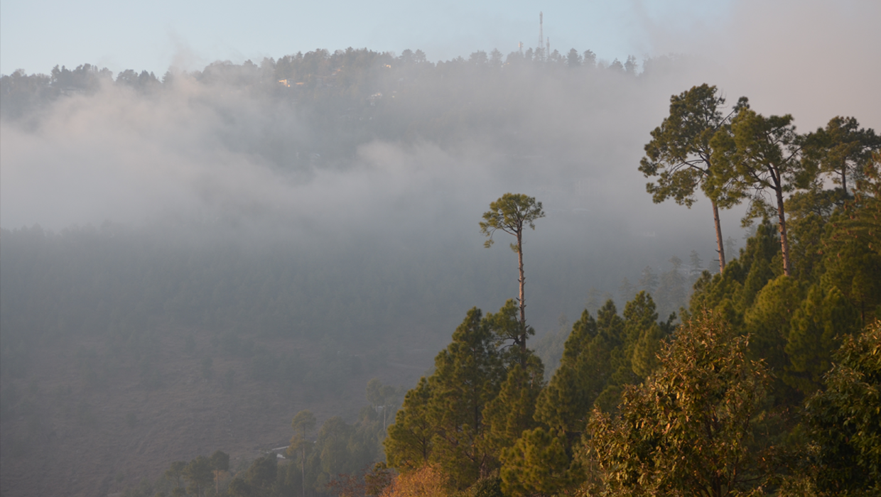 Aloche Apartments – Play Aloche Apartments And Start Living…!